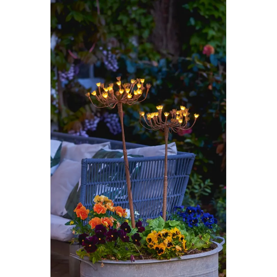 Solar Wild Fennel – Lumina Of London