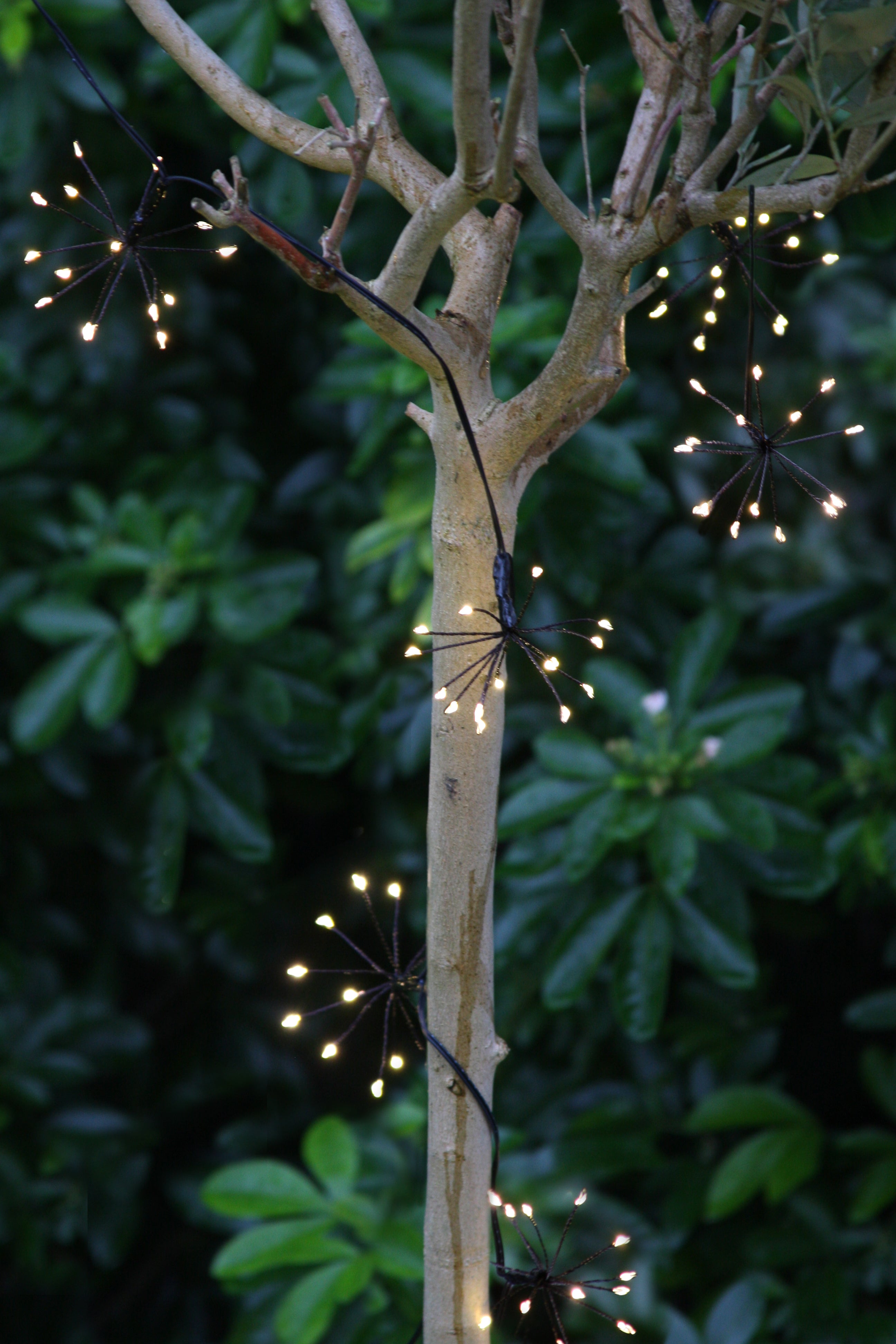 Solar Starburst Chain Light - Black – Lumina Of London