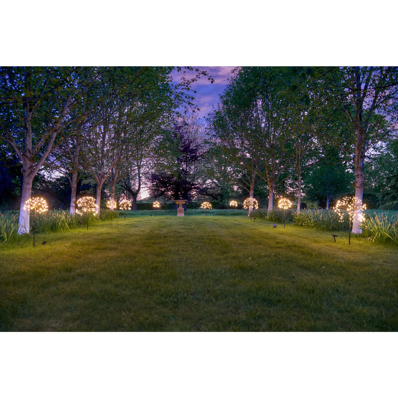 Solar Dandelion Light | Dandelion Garden Lights | Lumina Of London ...