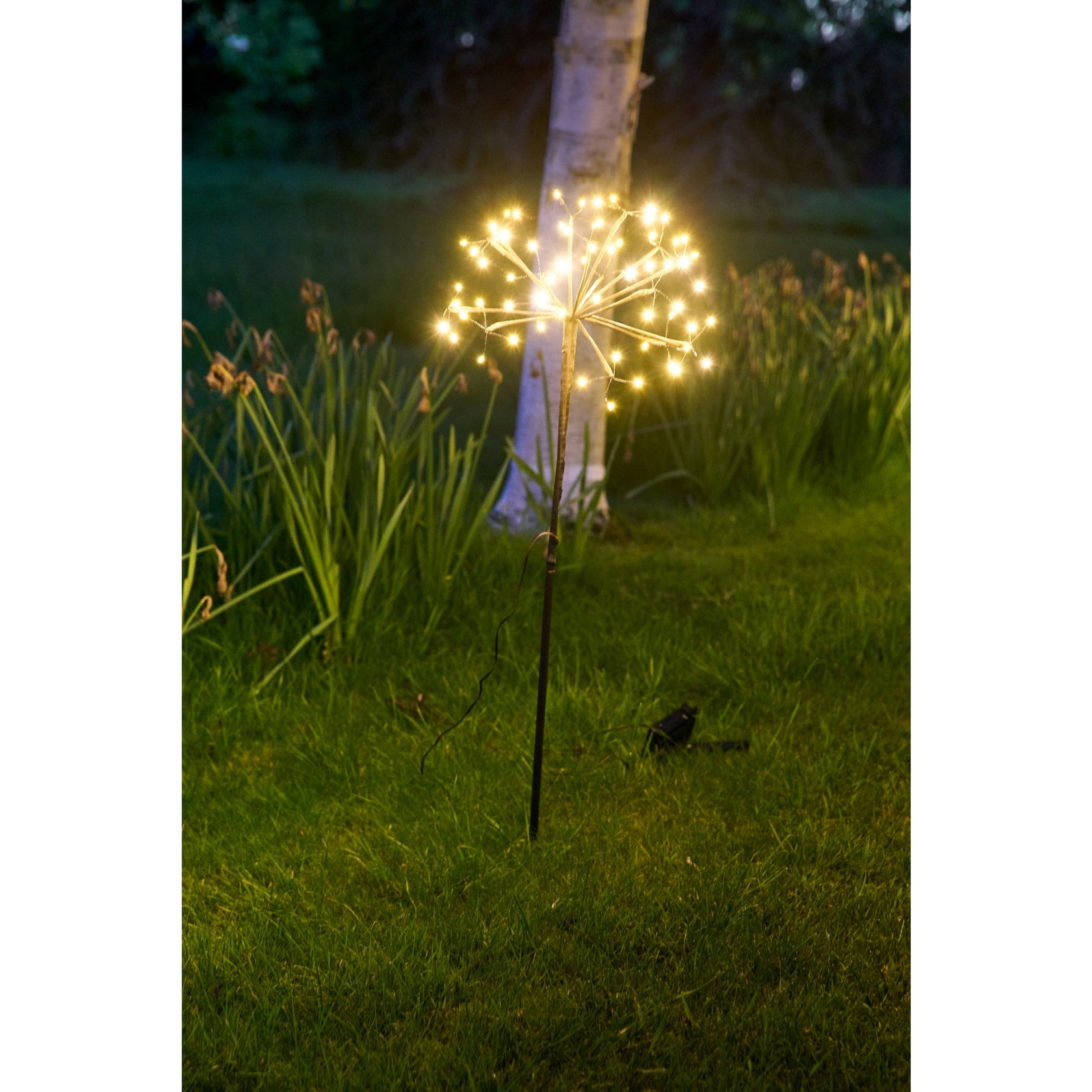 Solar Dandelion Light | Dandelion Garden Lights | Lumina Of London ...