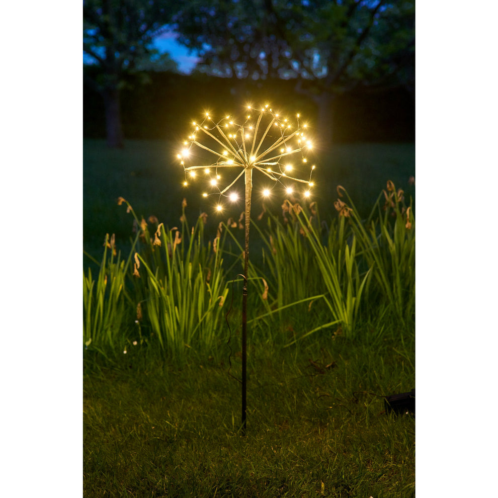Solar Dandelion Light | Dandelion Garden Lights | Lumina Of London ...