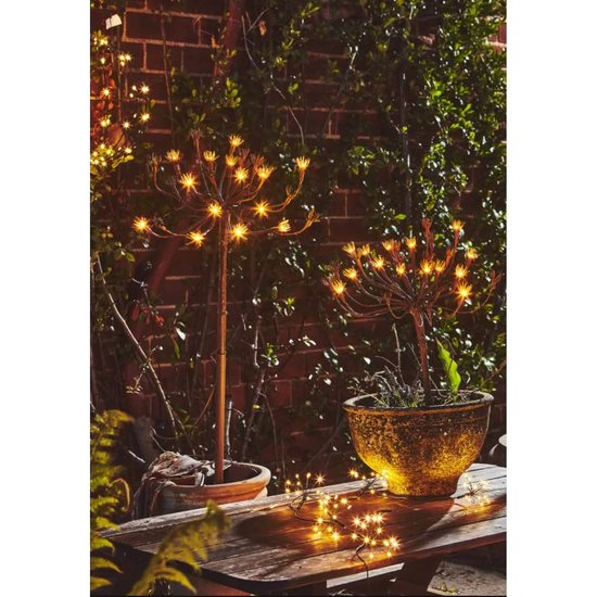 Solar Wild Fennel – Lumina Of London