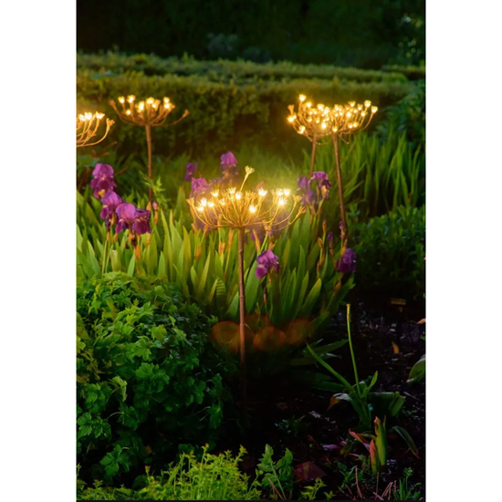 Solar Wild Fennel – Lumina Of London