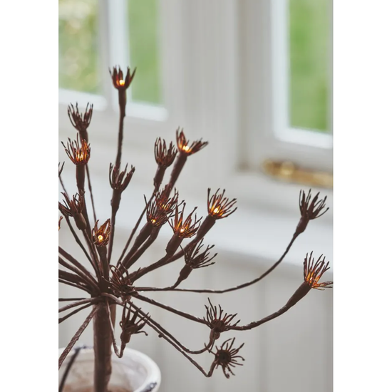 Solar Wild Fennel – Lumina Of London